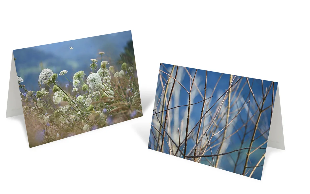 Mitgefühl 3 x 2 Motive | unicef.ch